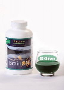 E3 Live BrainOn › One Veg World ‹ Be Vegan, Make Peace!