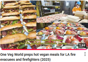 One Veg World ‹ Be Vegan, Make Peace!